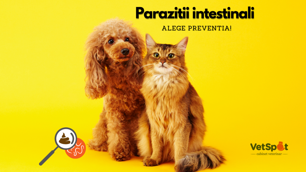 Parazitii intestinali - Vetspot